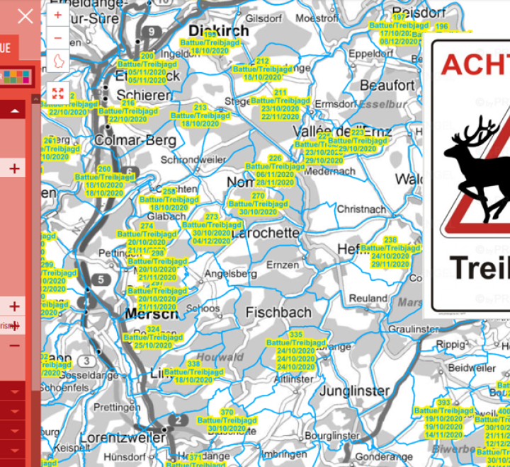 Hiking in Luxembourg - Mullerthal Trail